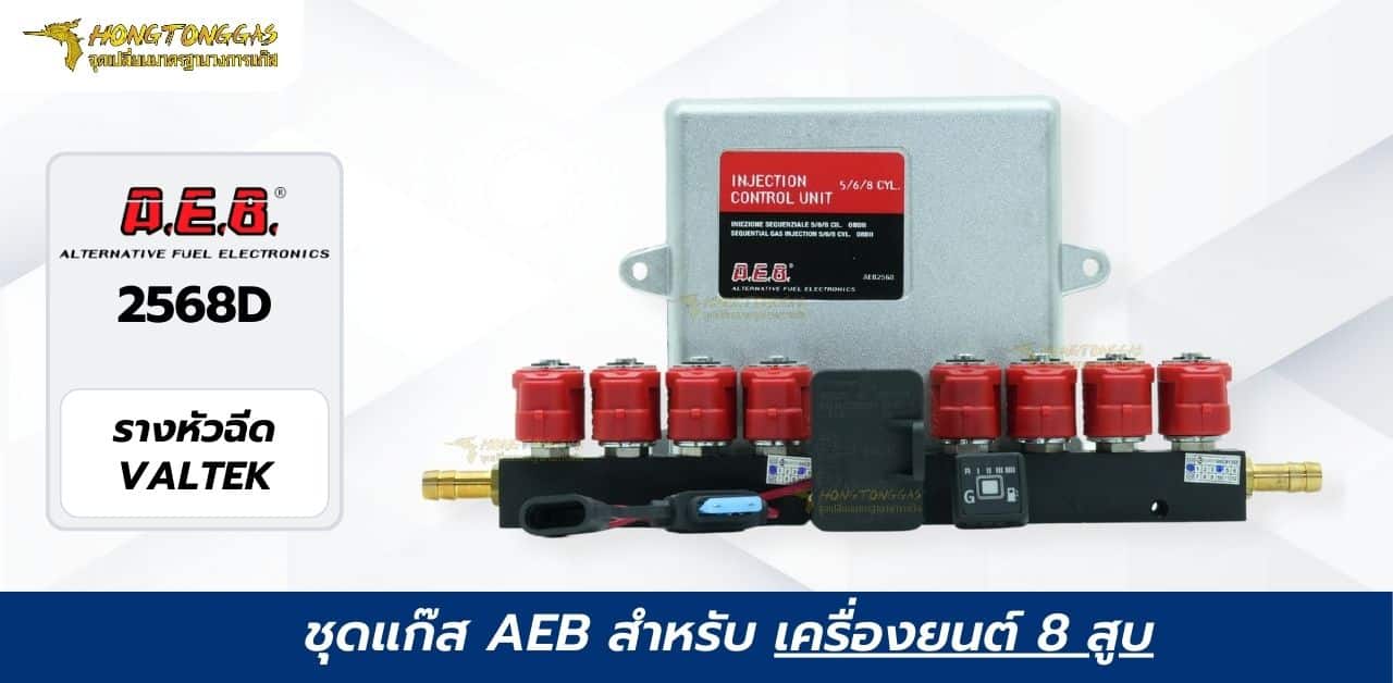 ติดแก๊ส LPG ชุดแก๊ส A.E.B. (8 สูบ) อีซียู AEB 2568D, รางหัวฉีด Valtek หงษ์ทองแก๊ส